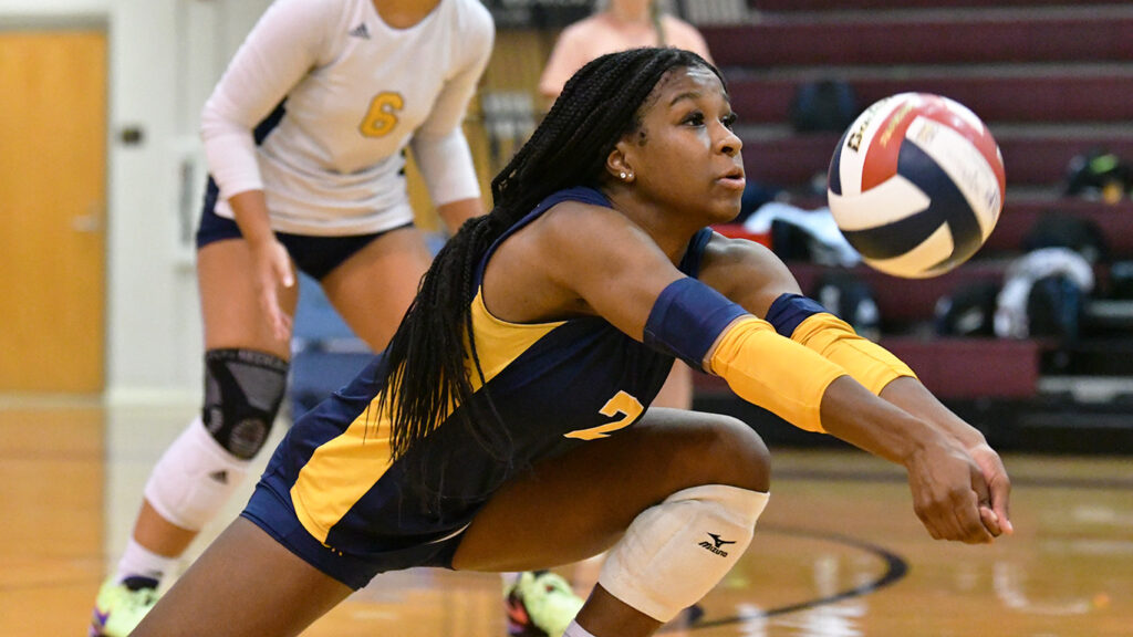 Taylor Porter - vballrecruiter.com Player Profile